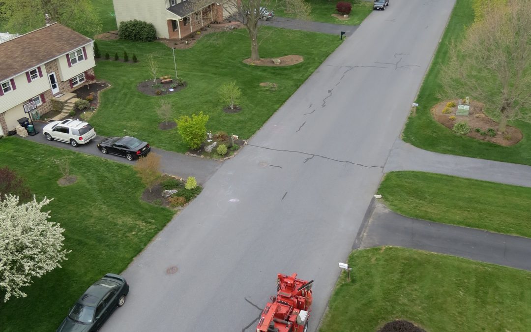 Trusted Tree Care Since 1990 - Martin Tree Service