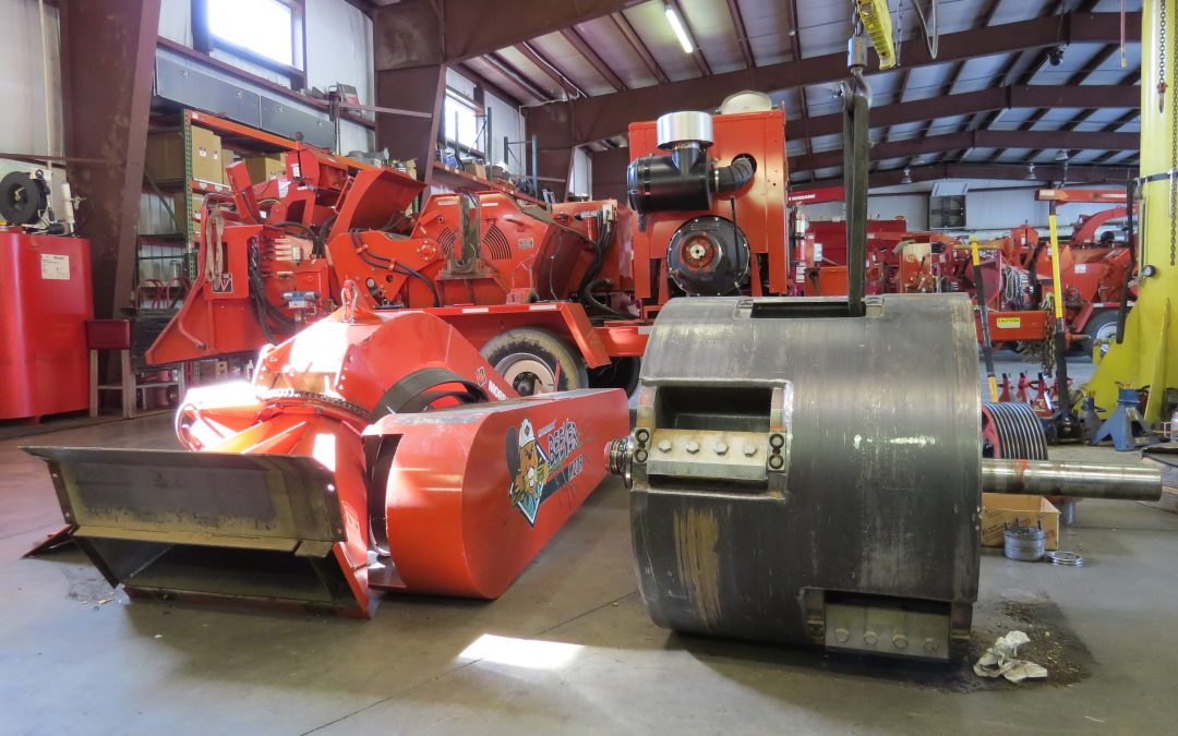 Trusted Tree Care Since 1990 - Martin Tree Service