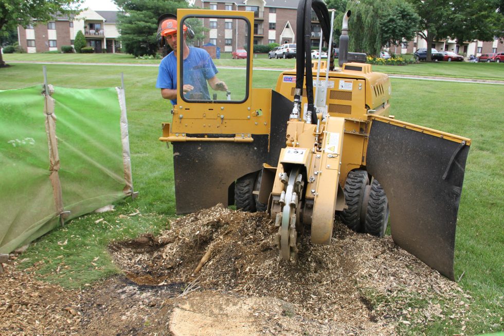 Hiring - Martin Tree Service